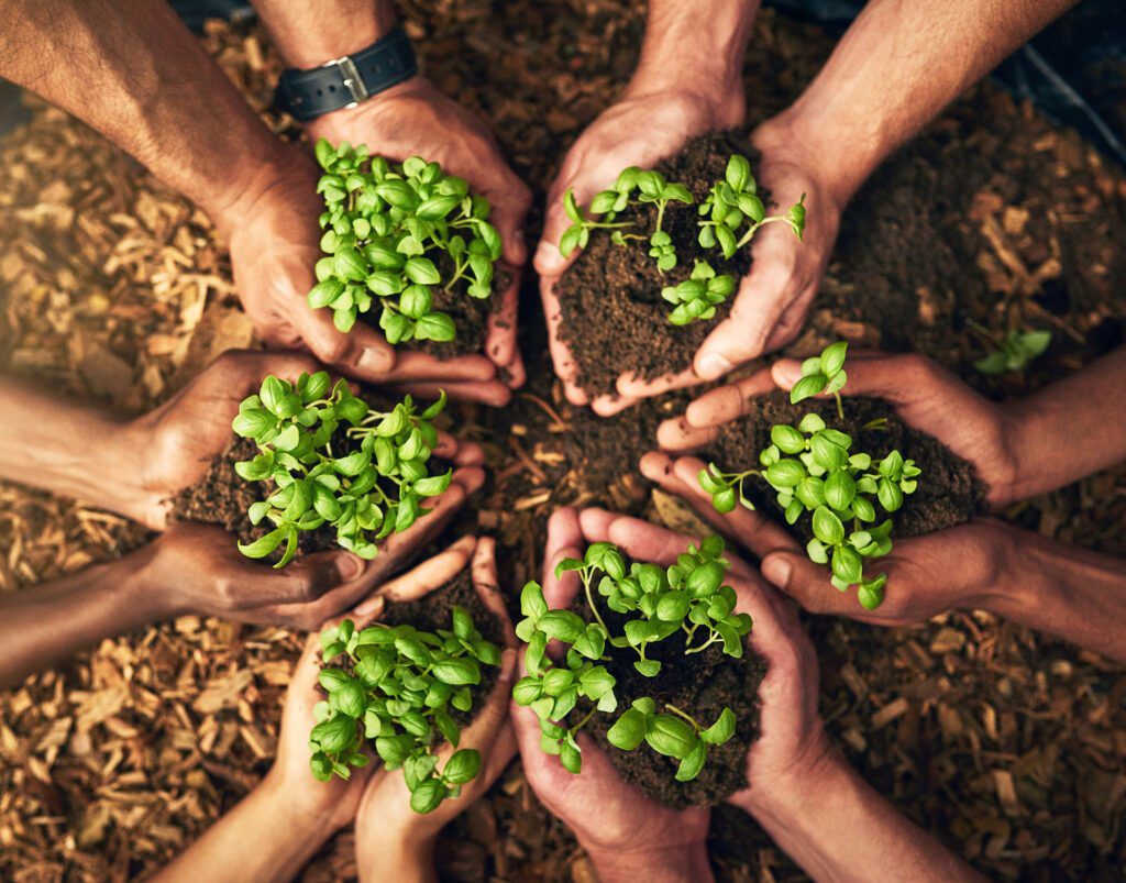 Our ESG Report | LCM | Environmental, Social, and Governance